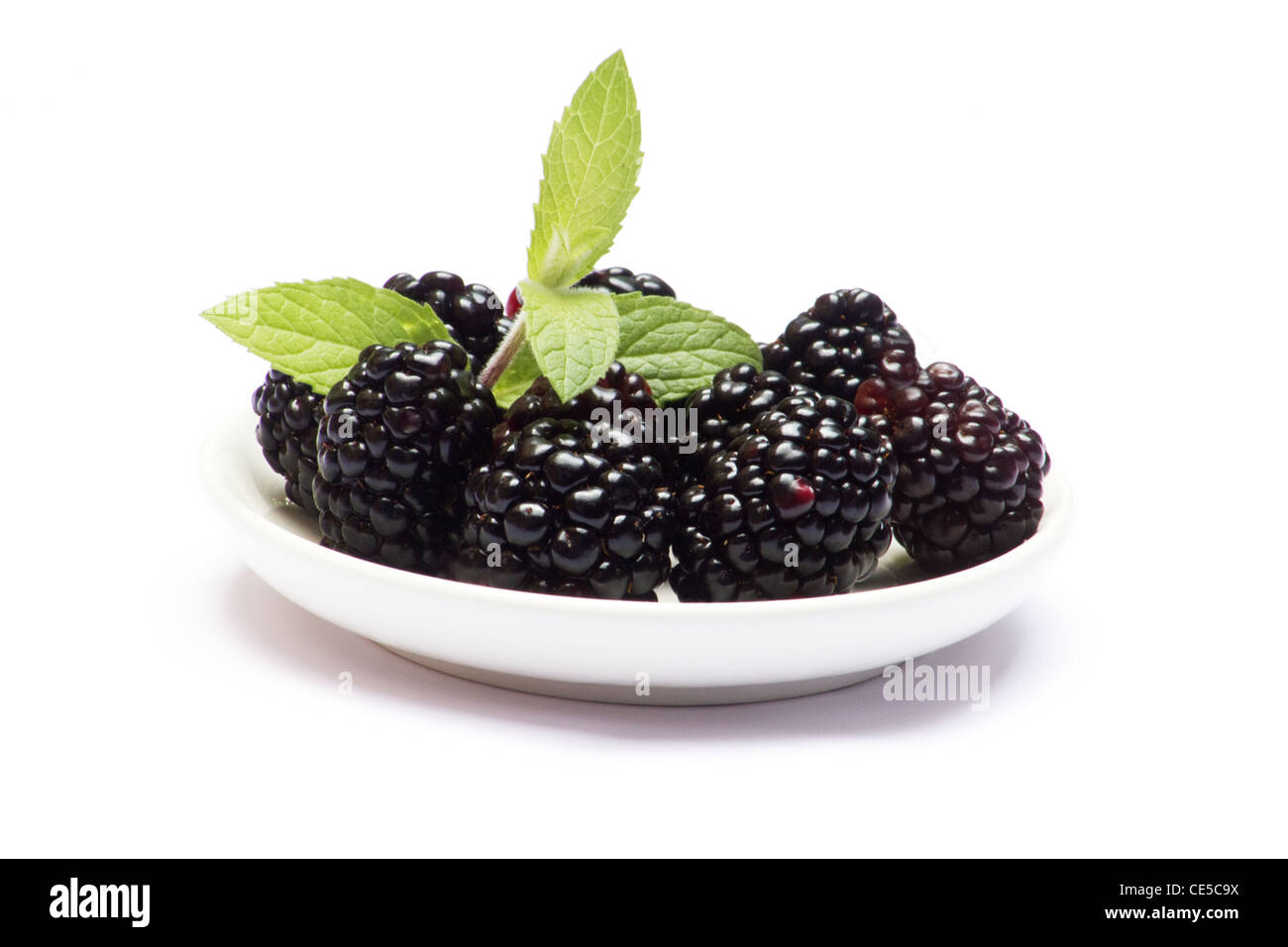 Blackberries and mint sprig on white background Stock Photo - Alamy