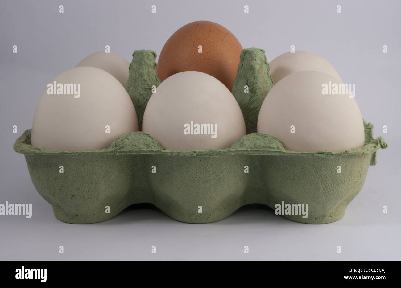 Duck eggs and one chicken egg Stock Photo - Alamy