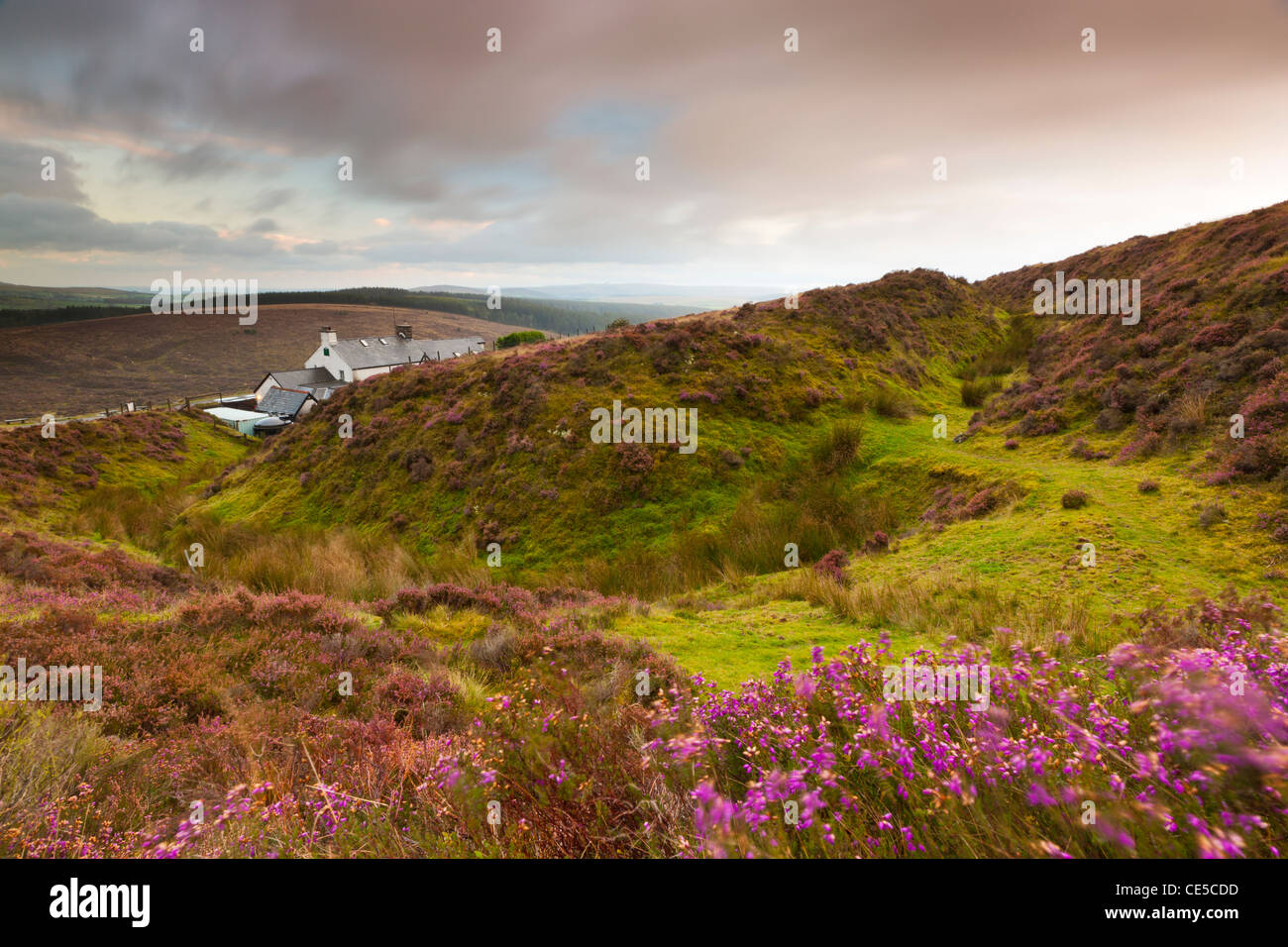South warren hill hi-res stock photography and images - Alamy
