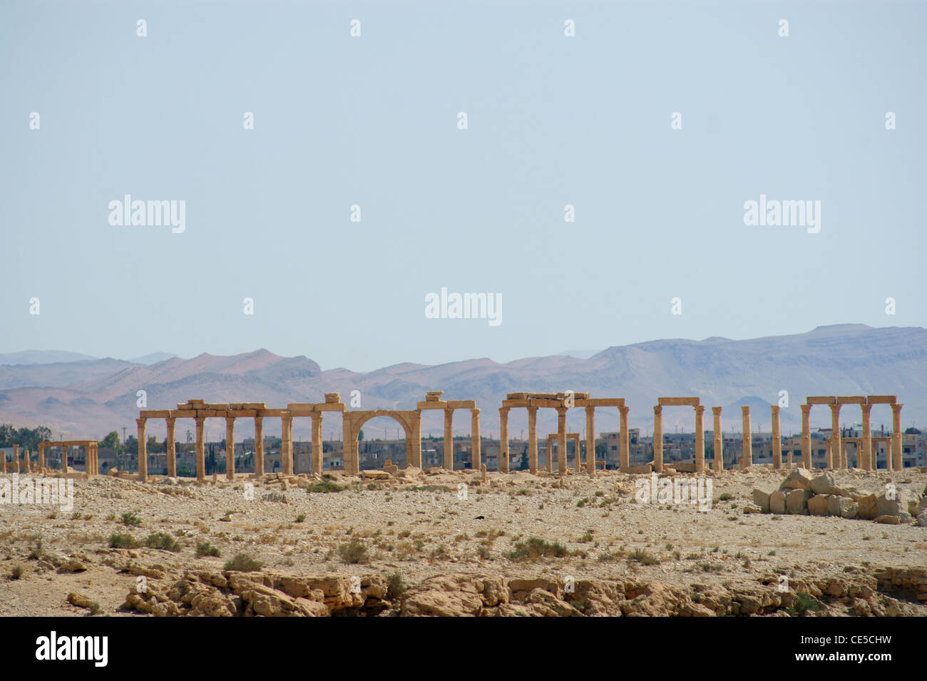 ancient columns Palmyra, Syria Stock Photo - Alamy