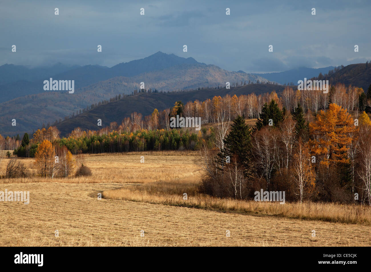 After autumn hi-res stock photography and images - Alamy