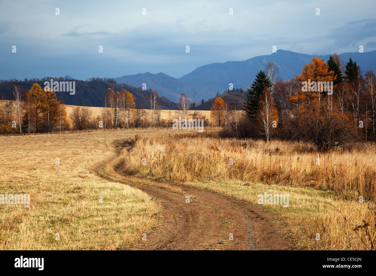 Rural landscape in autumn hi-res stock photography and images - Alamy