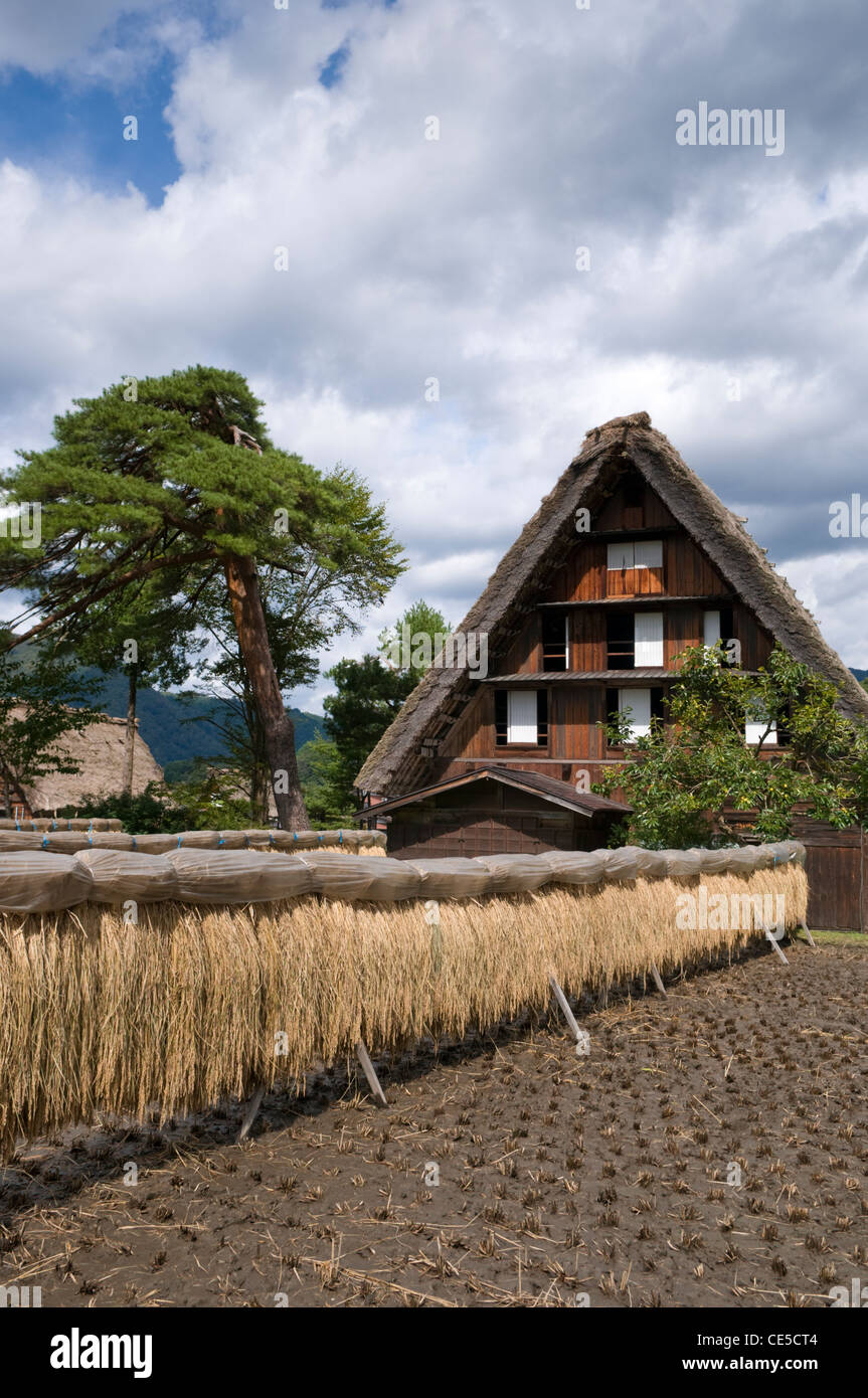Traditional thatched roof building in Shirakawa go Unesco World ...