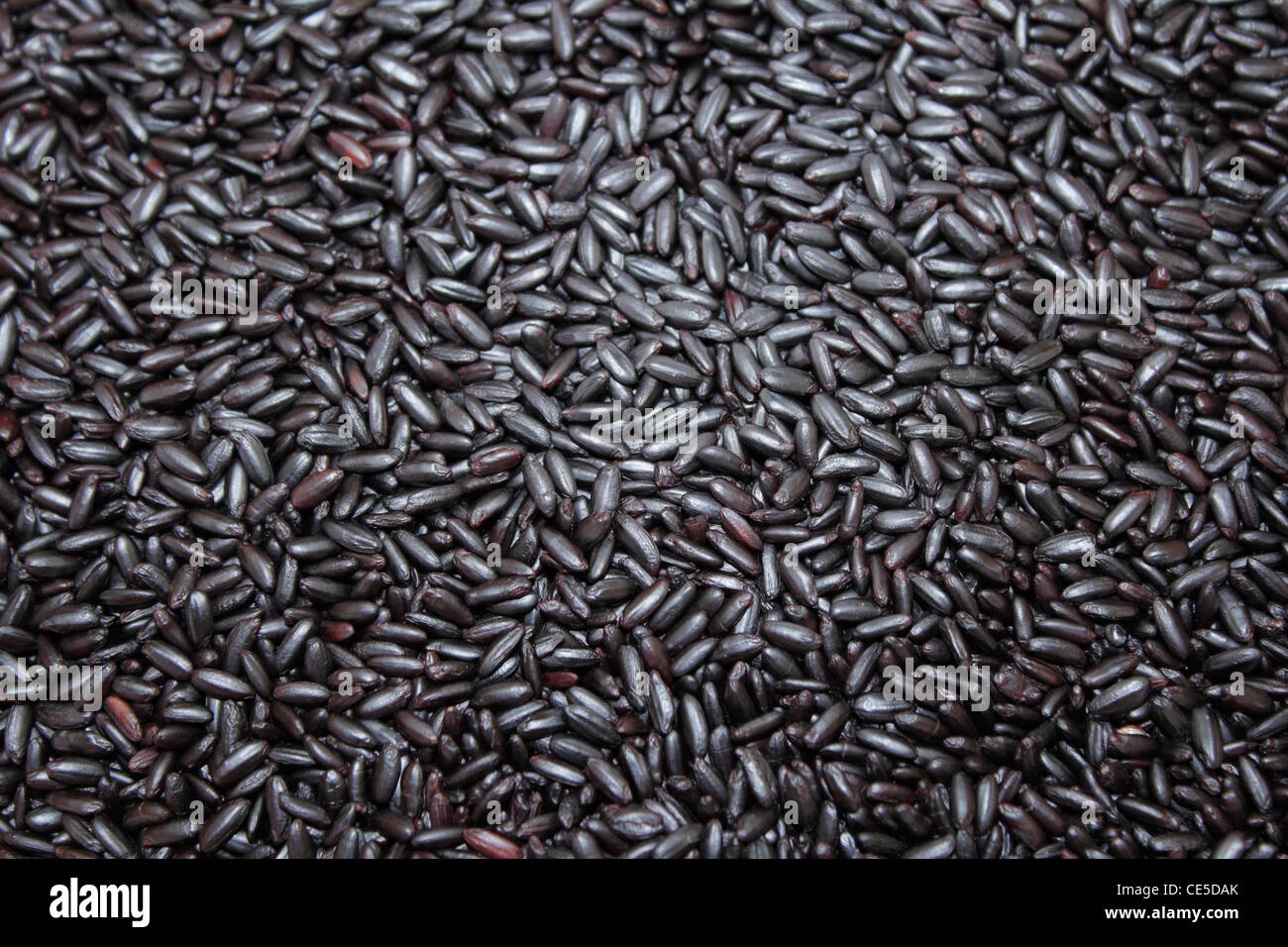 Close up background view of dry Chinese organic purple rice that looks ...