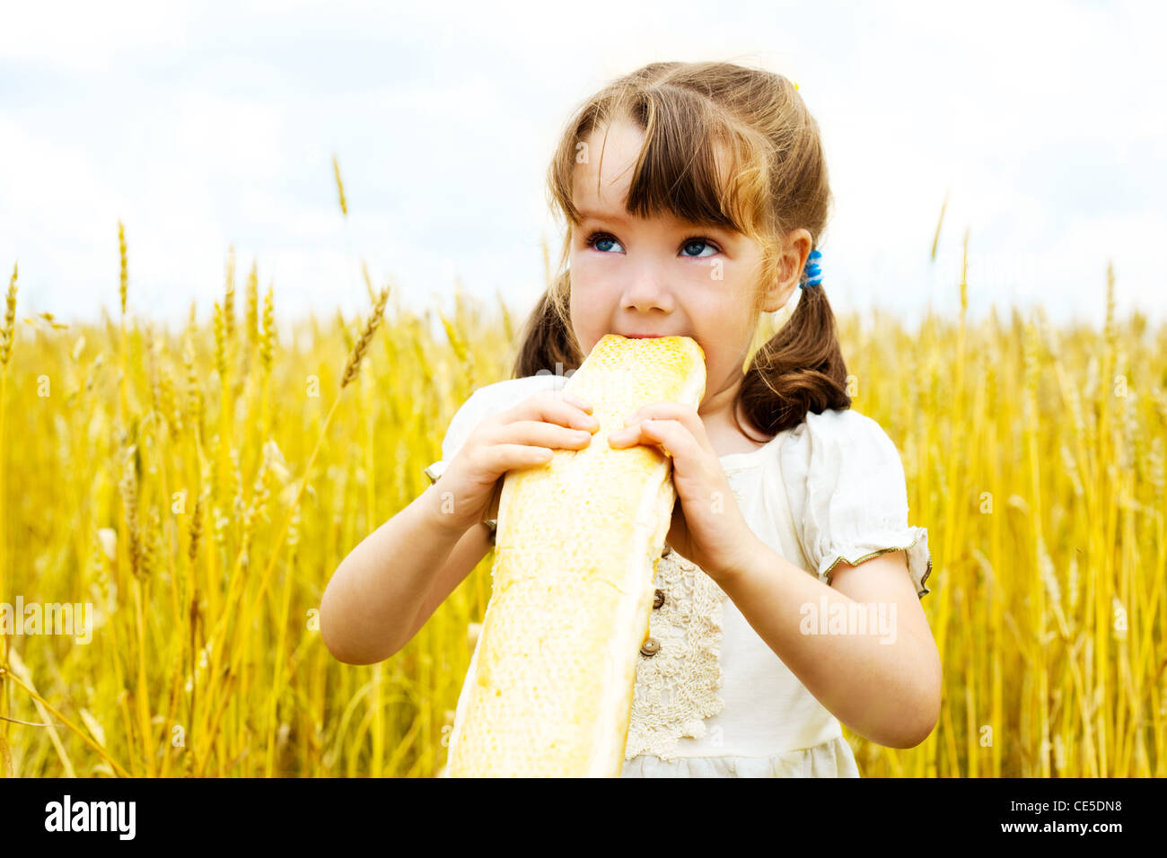 happy cute little girl in the wheat field eating a long loaf Stock ...