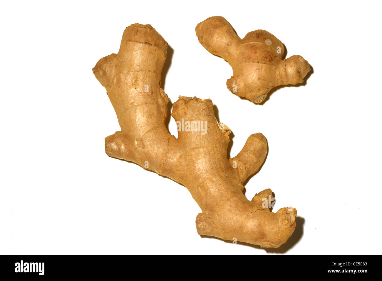 A ginger root isolated on white background Stock Photo - Alamy