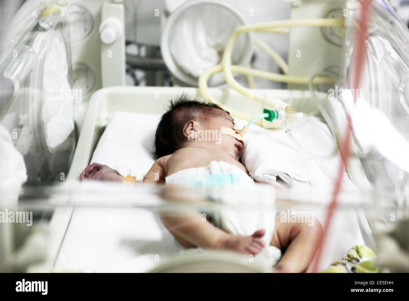 Newborn baby inside incubator Stock Photo - Alamy