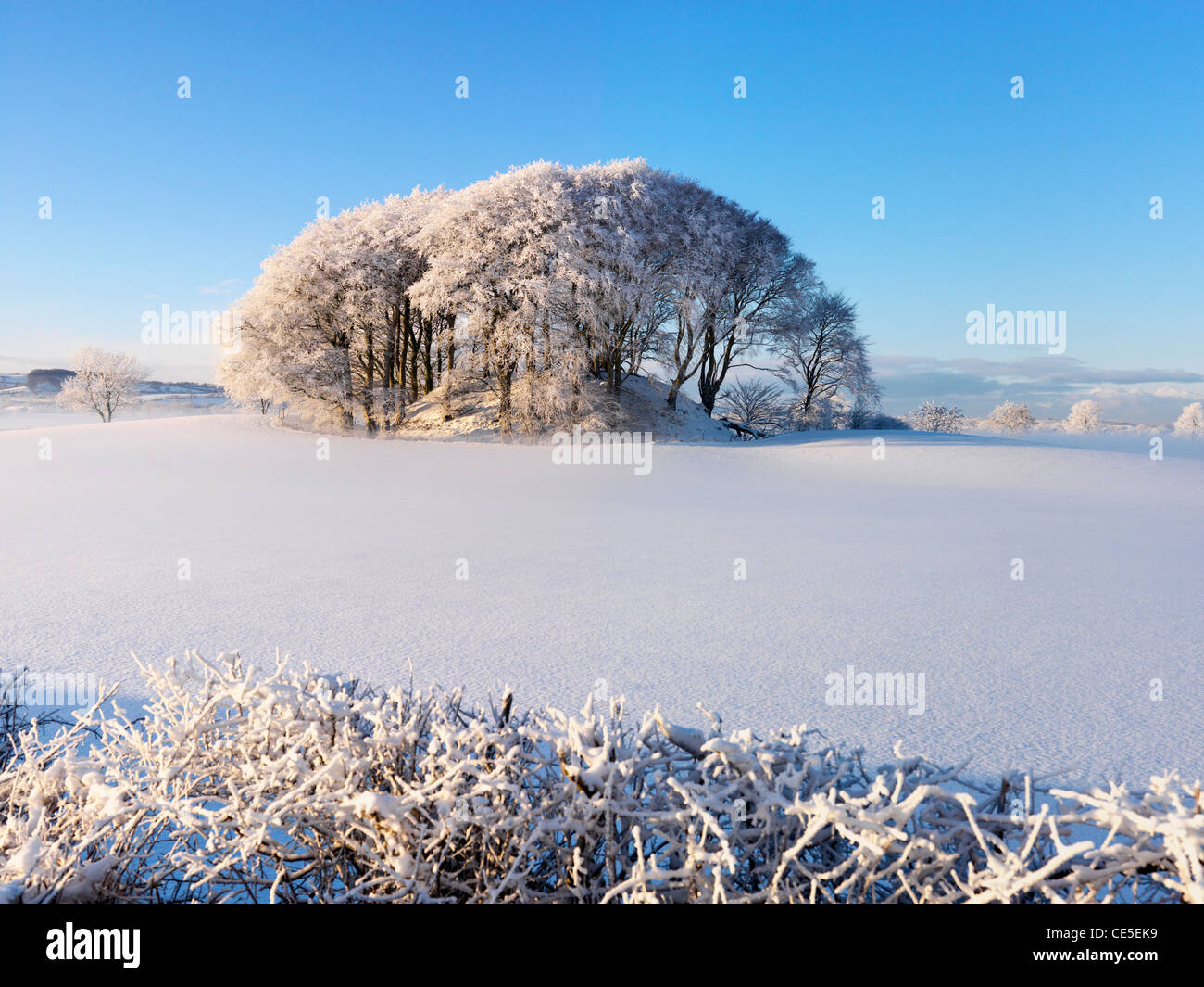 Ballymoney, county antrim hi-res stock photography and images - Alamy