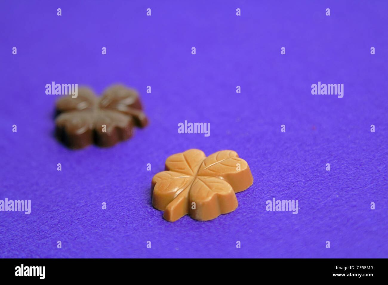 Two pieces of clover shape chocolates on a violet soft background ...