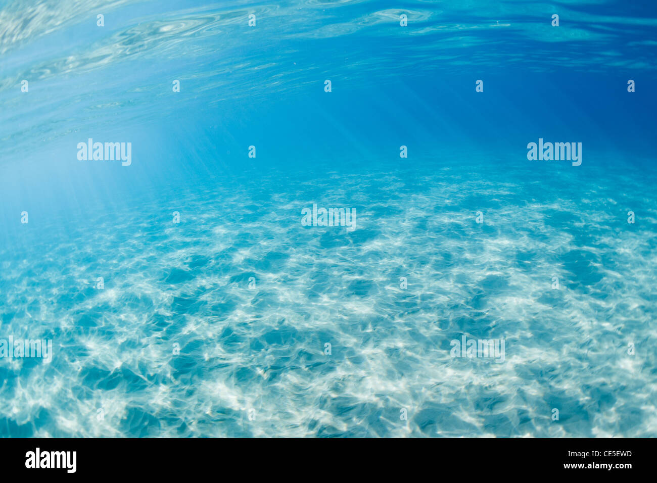 Blue waves underwater dive hi-res stock photography and images - Alamy