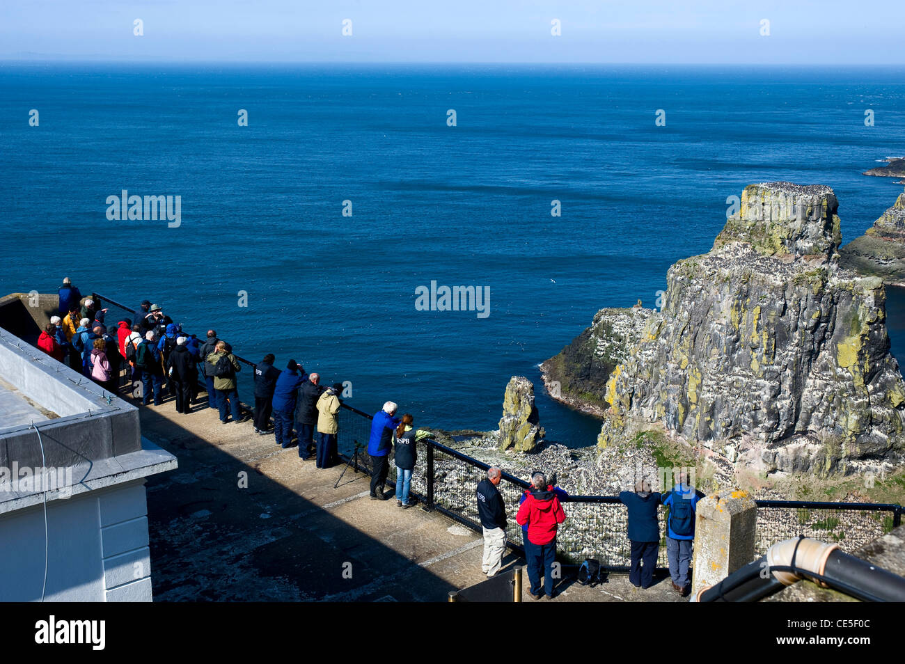 Rspb rathlin hi-res stock photography and images - Alamy