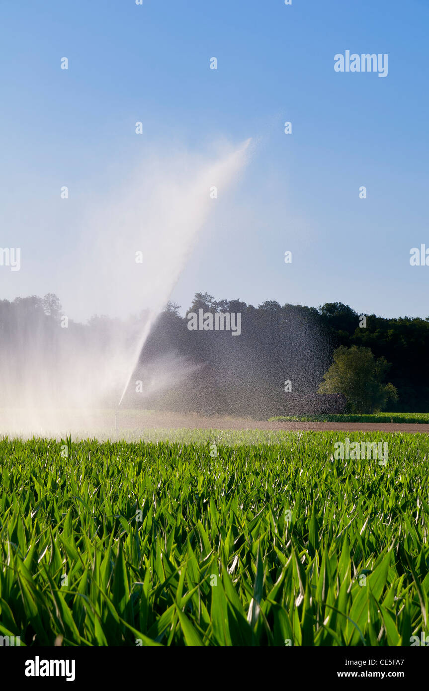Field irrigation system hi-res stock photography and images - Alamy