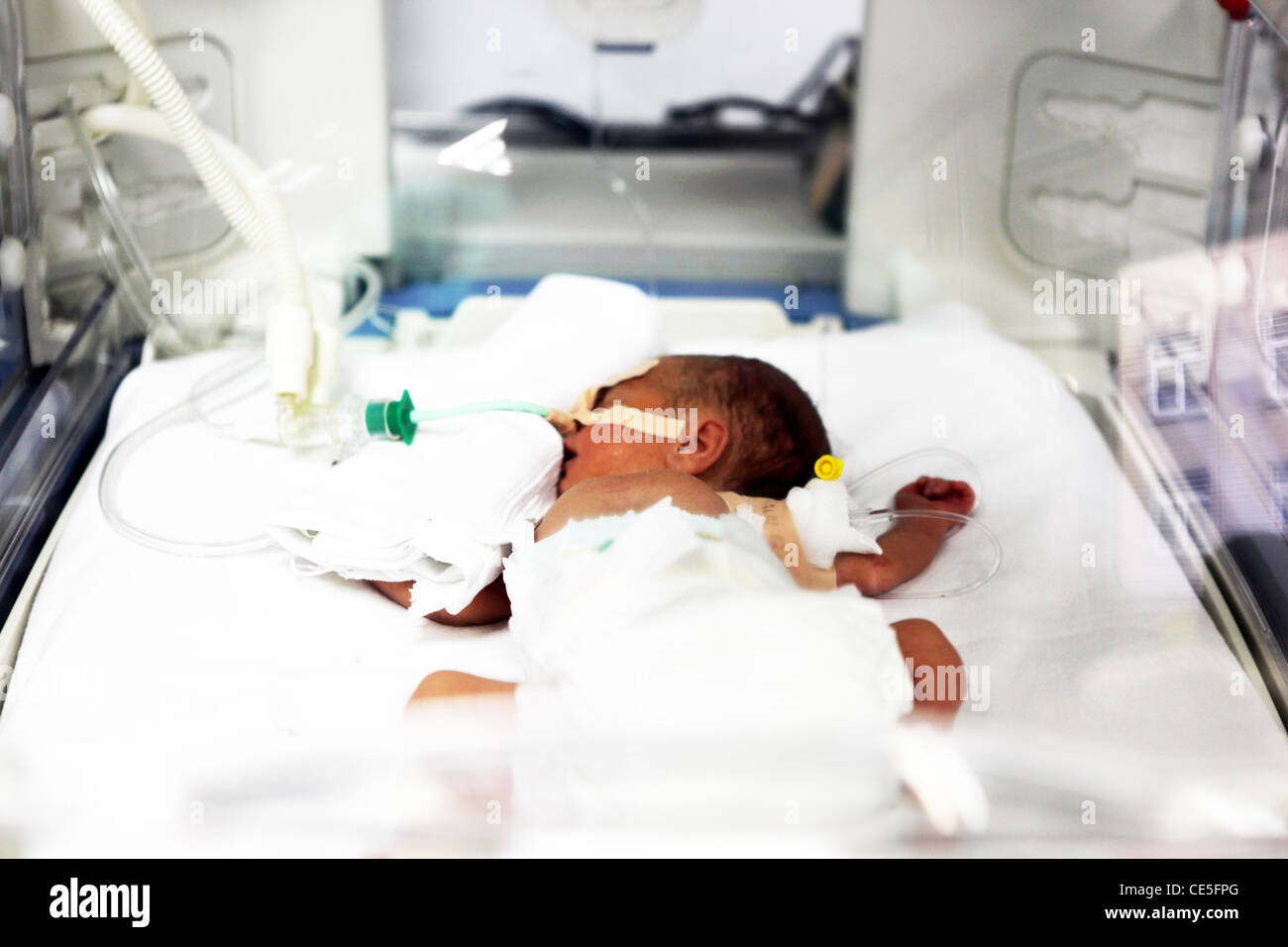 Newborn baby inside incubator Stock Photo - Alamy