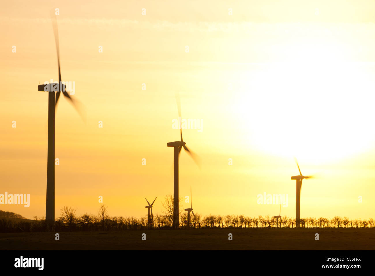 A wind farm on the west coast of Cumbria near Workington at sunset ...