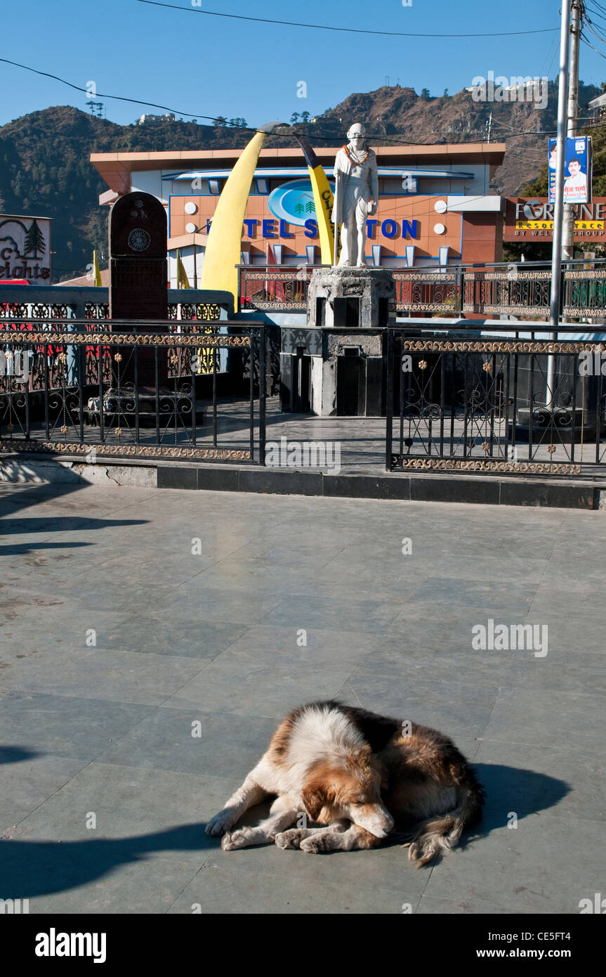 Dog sleeping gandhi statue mussoorie hi-res stock photography and ...