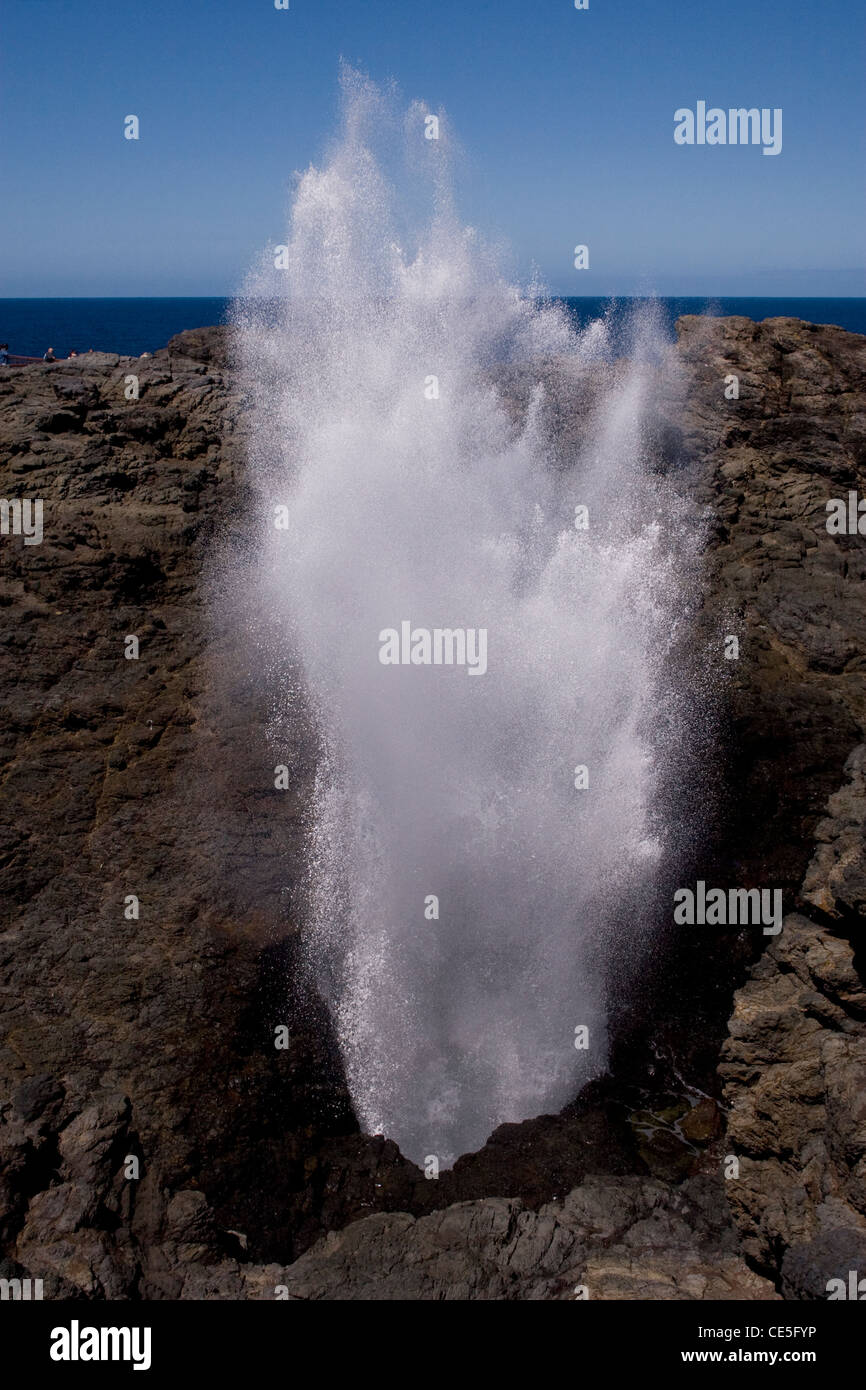 Kiama blowhole hi-res stock photography and images - Alamy