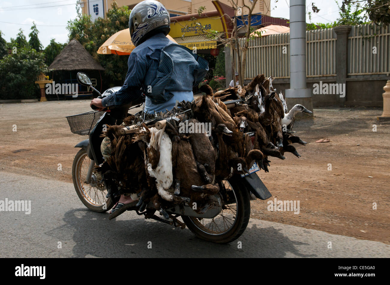 Cambodia phnom penh motorcycle taxi hi-res stock photography and images ...