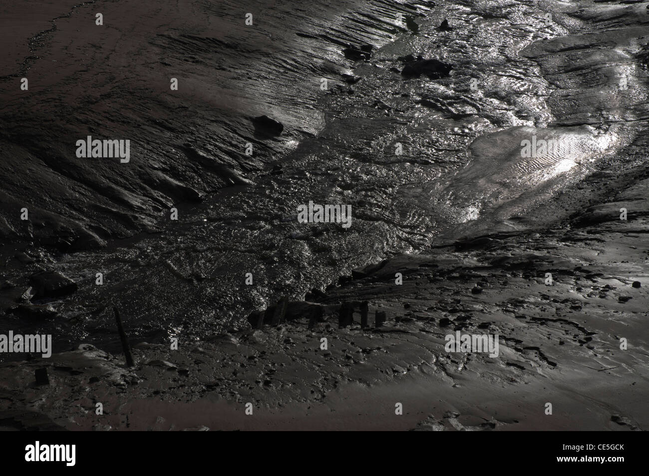 Mud bank hi-res stock photography and images - Alamy