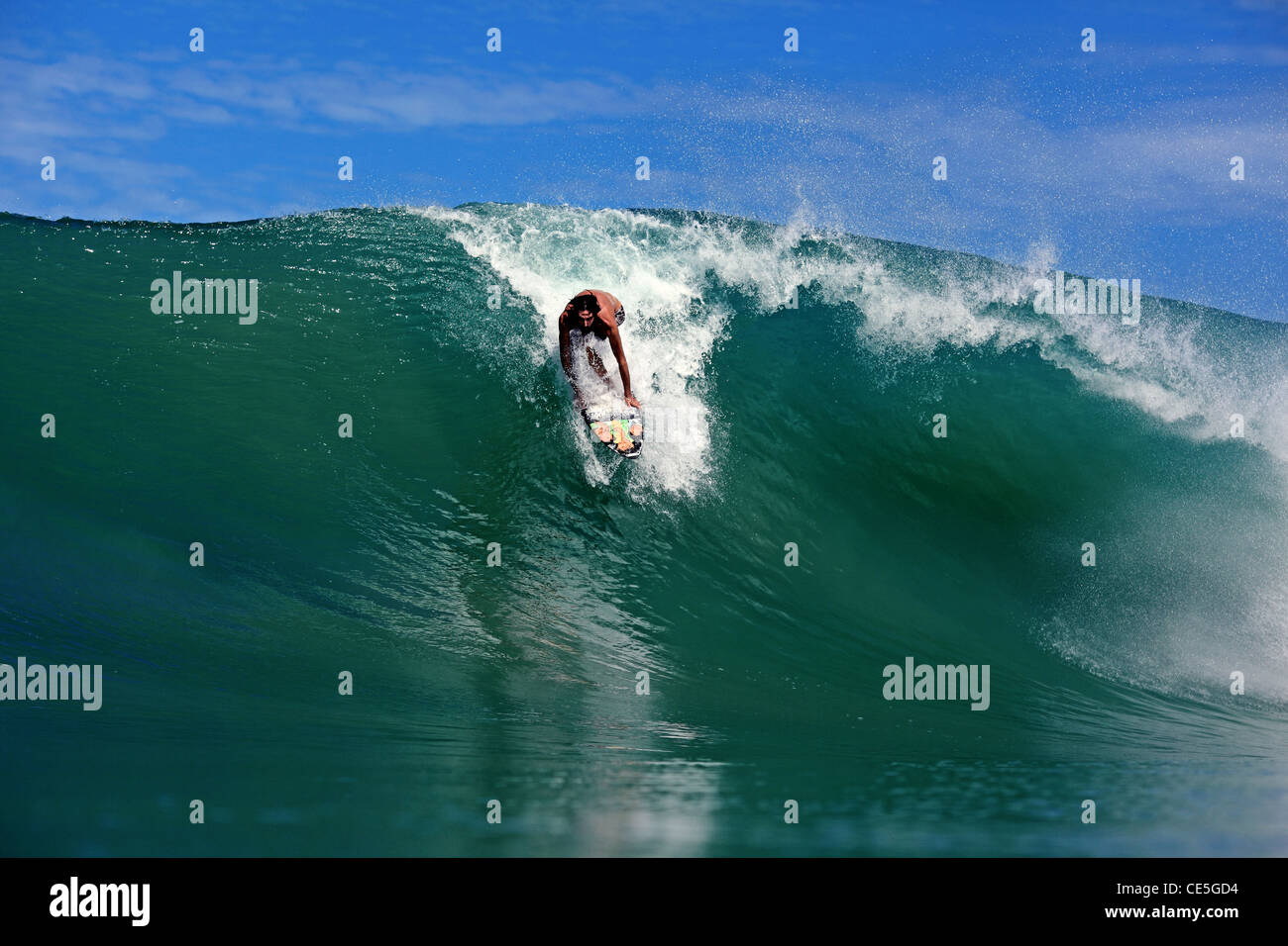 Surfing in Sumatra. Surer riding a large wave in Sumatra, Indonesia ...