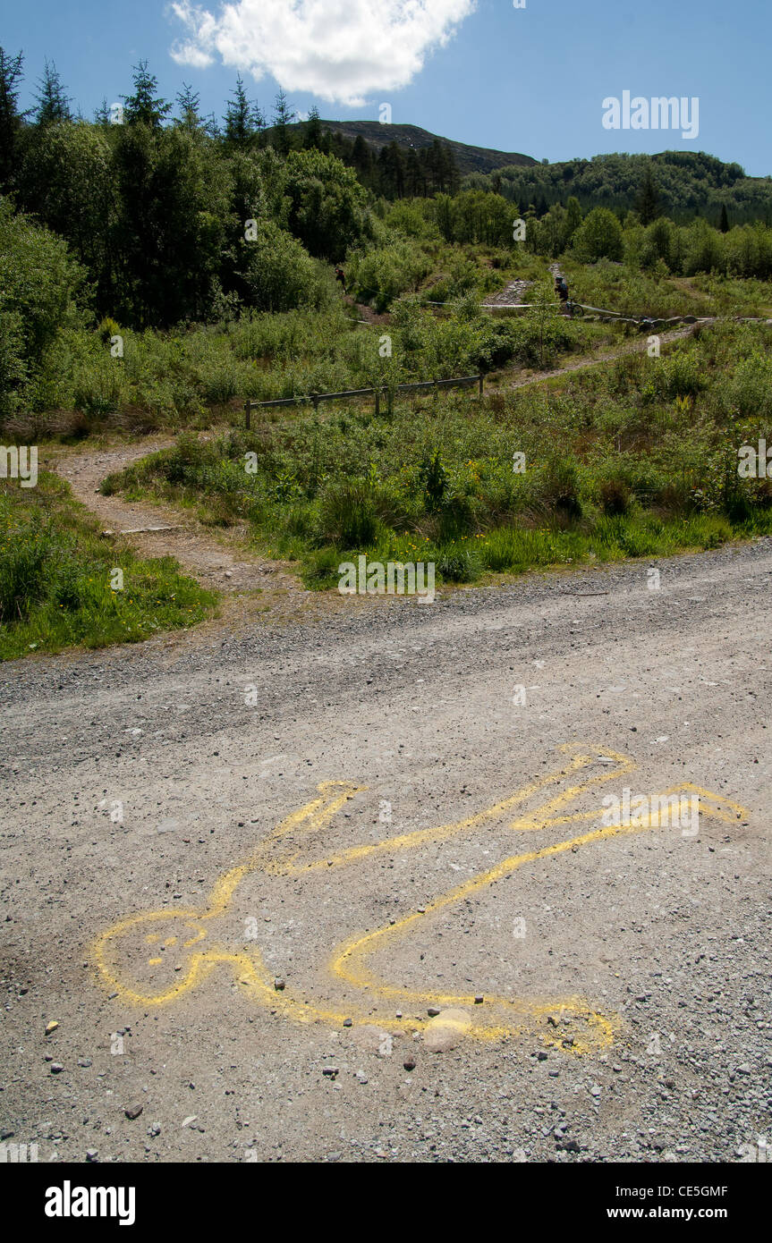 Spray paint road markings hi-res stock photography and images - Alamy