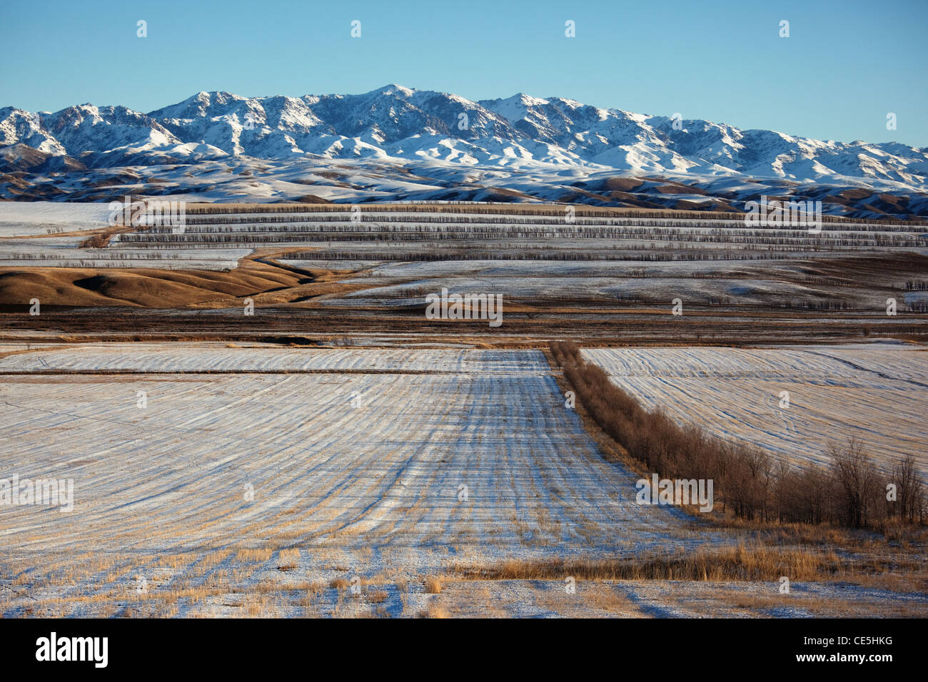 The First Snow High Resolution Stock Photography and Images - Alamy
