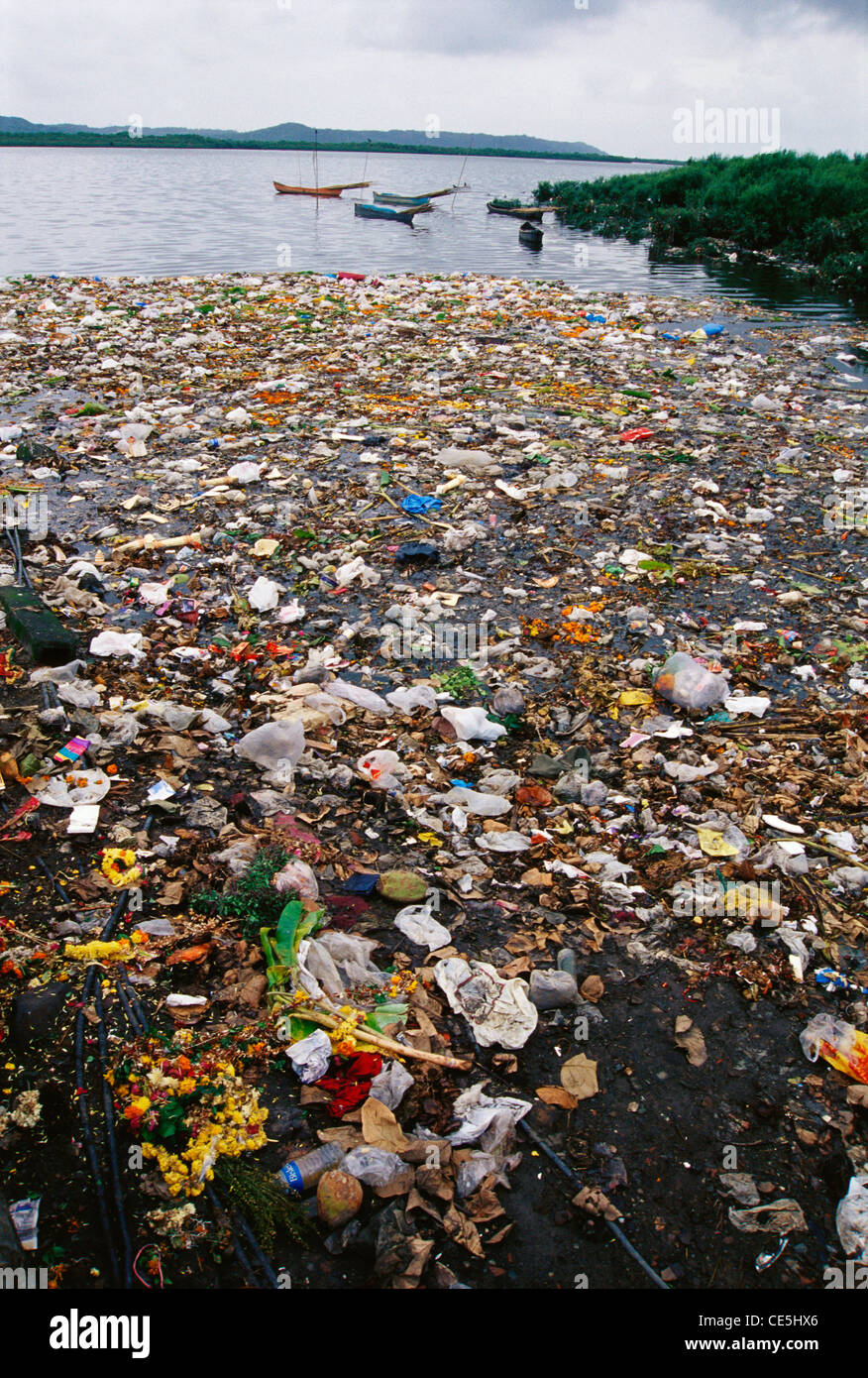 pollution garbage waste in Gorai creek Bombay Mumbai Maharashtra India ...