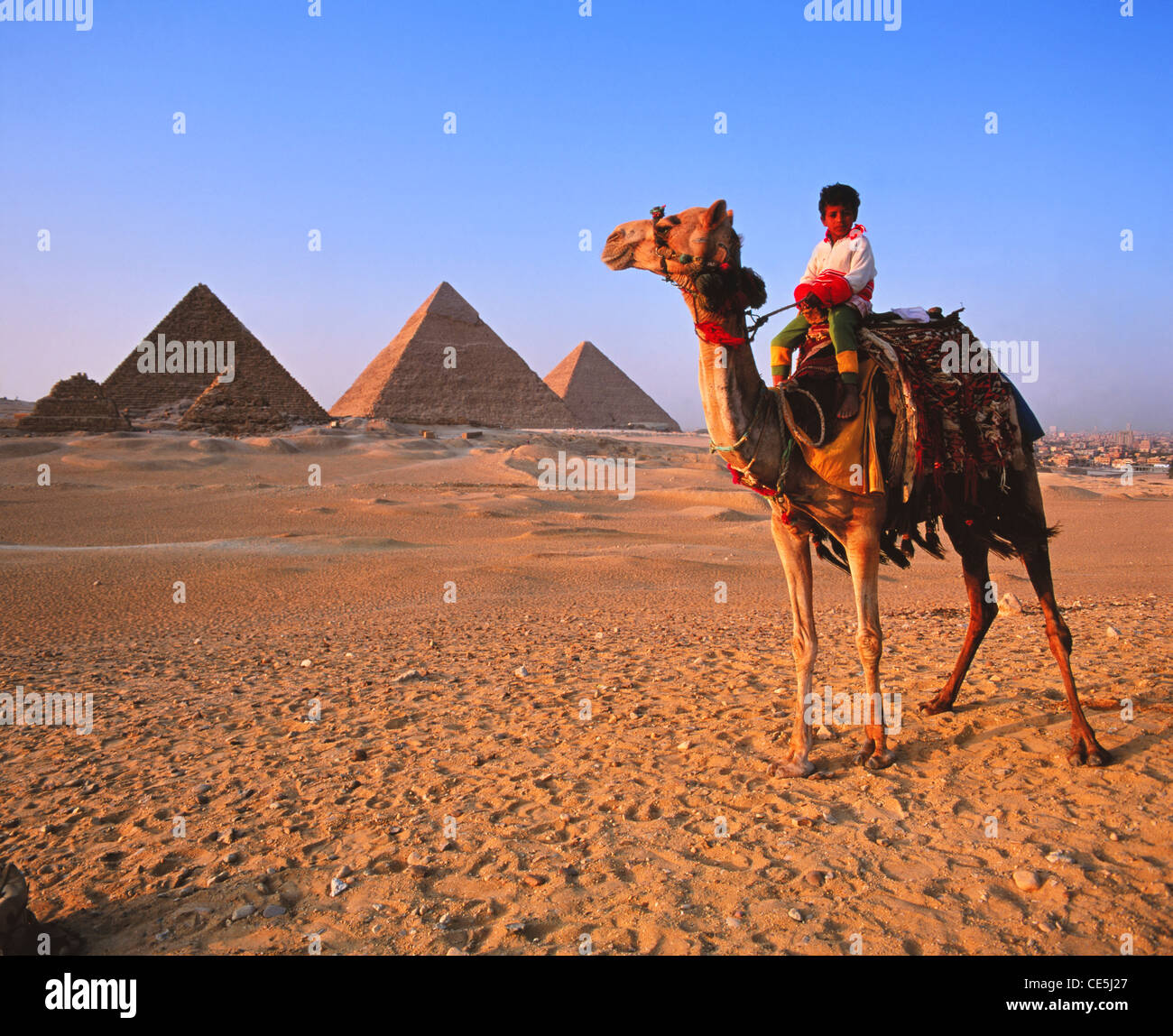 Boy riding camel hi-res stock photography and images - Alamy