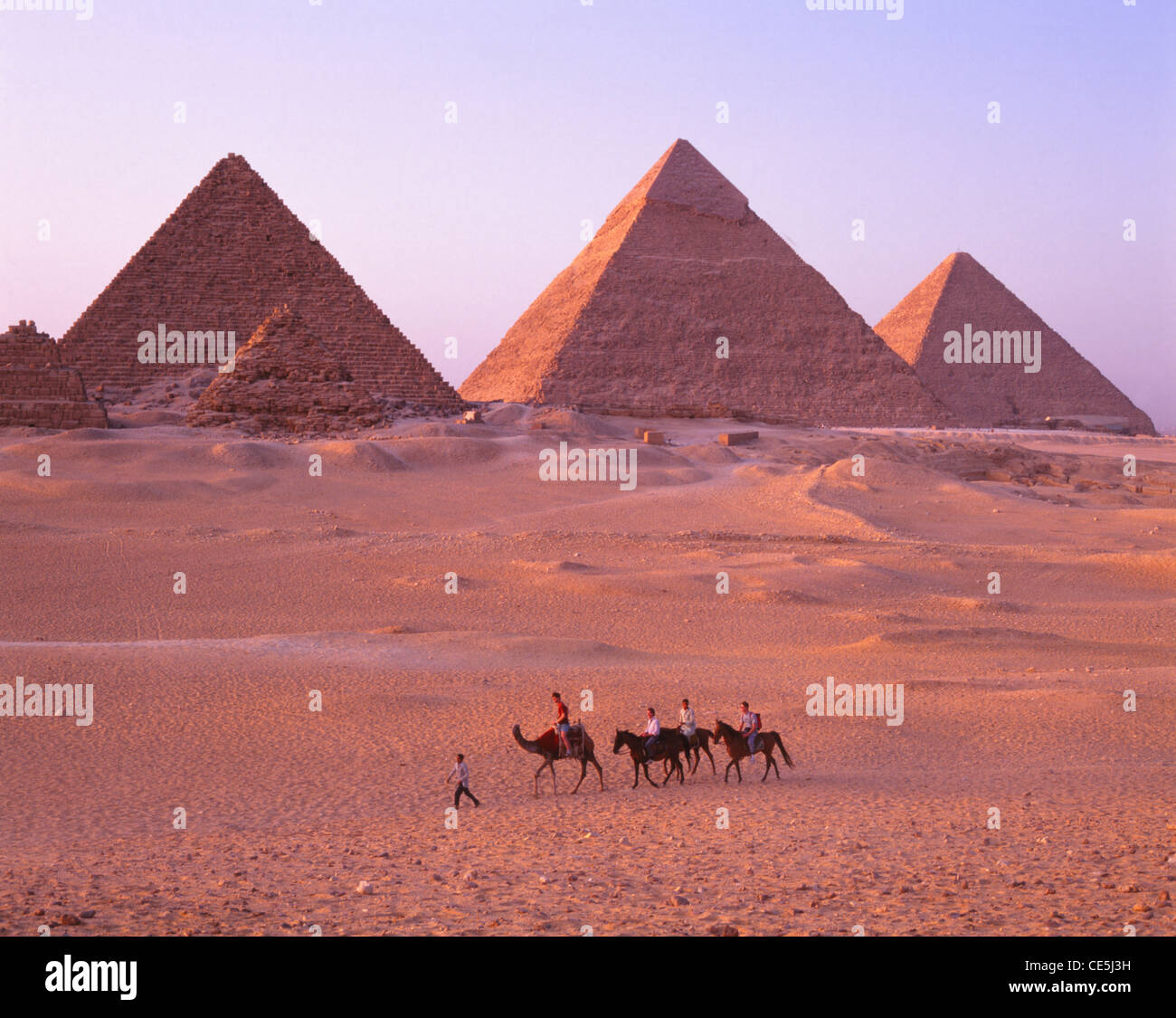 Horse riding, The Pyramids, Cairo, Egypt Stock Photo - Alamy