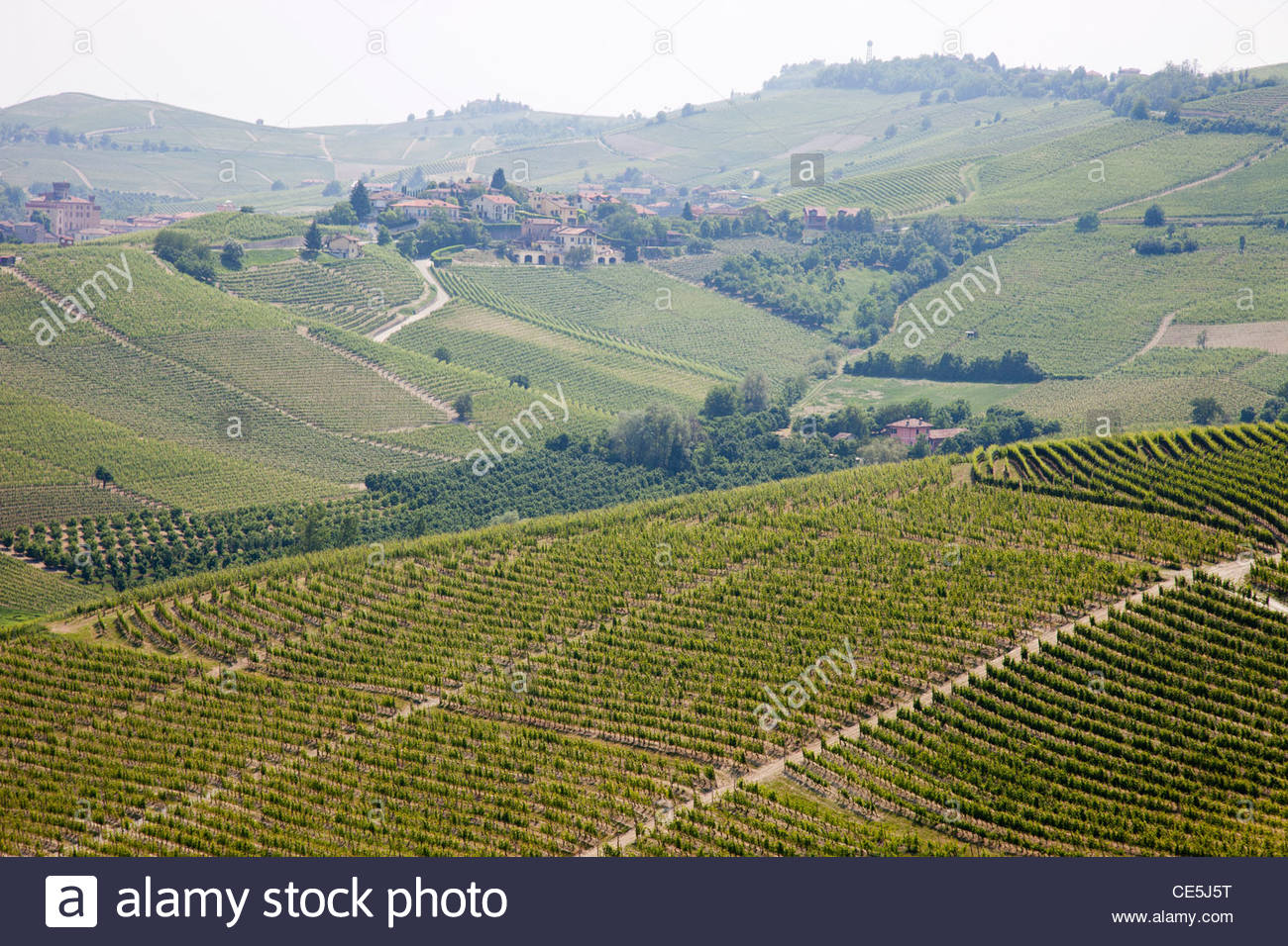Barolo Area High Resolution Stock Photography and Images - Alamy