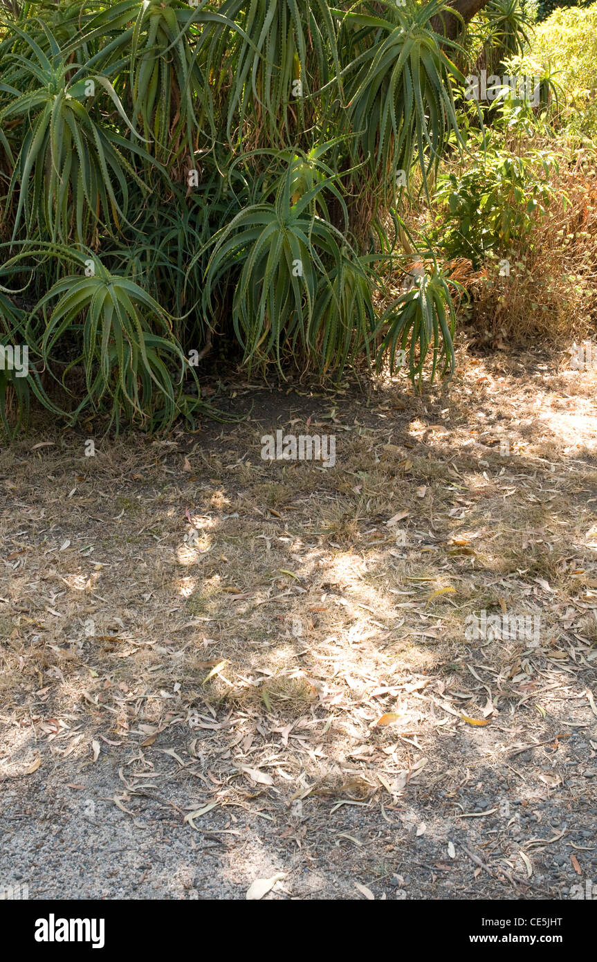 Hot dry climate hi-res stock photography and images - Alamy