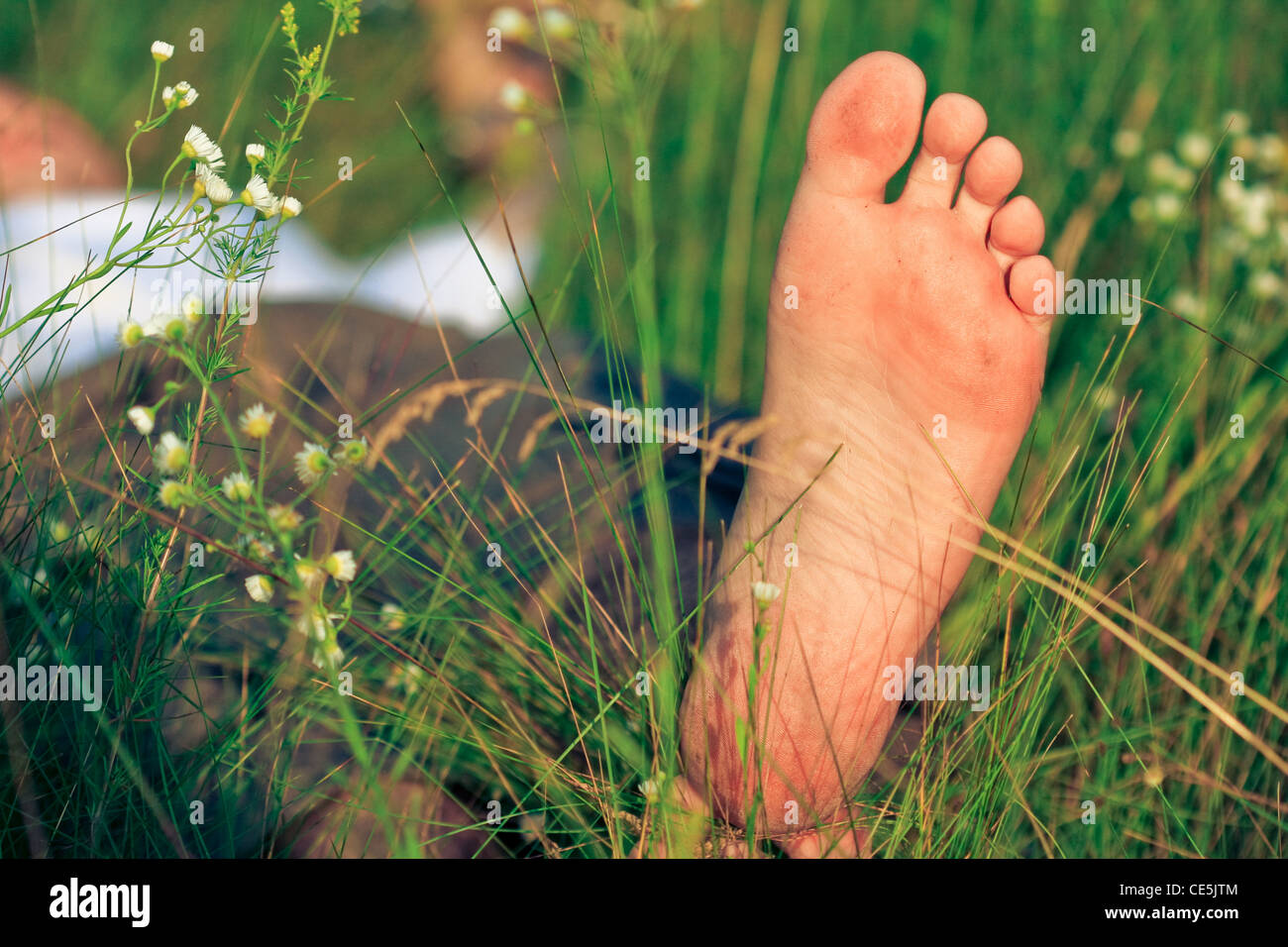 young adult man in spring grass Stock Photo - Alamy