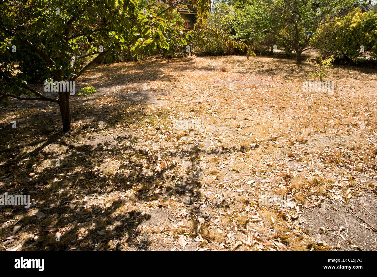 Parched garden hi-res stock photography and images - Alamy