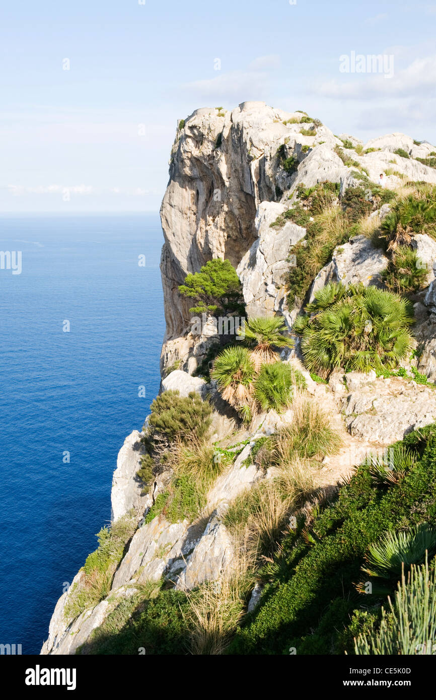 Spain , Espana , Balearics , Balearic Islands , Mallorca , Majorca ...