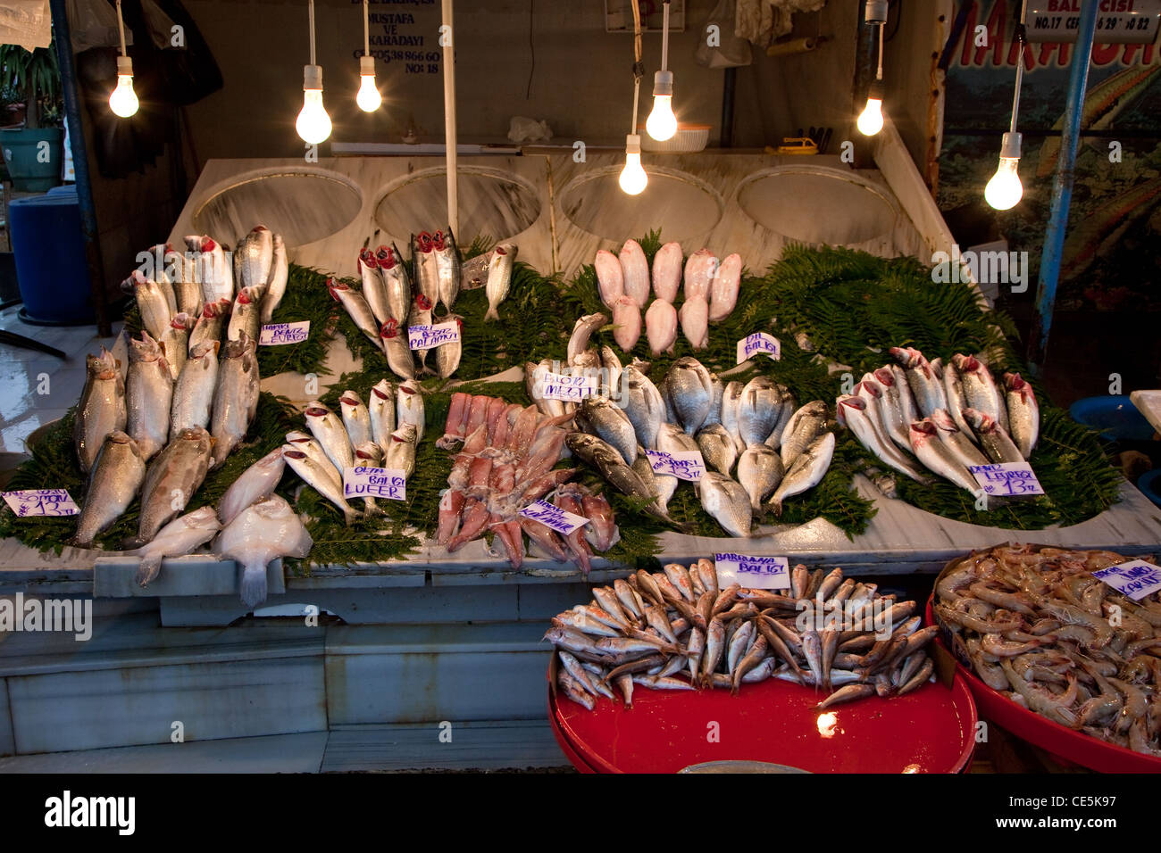 FISH MARKET GALATA BRIDGE BEYOGLU ISTANBUL TURKEY Stock Photo - Alamy