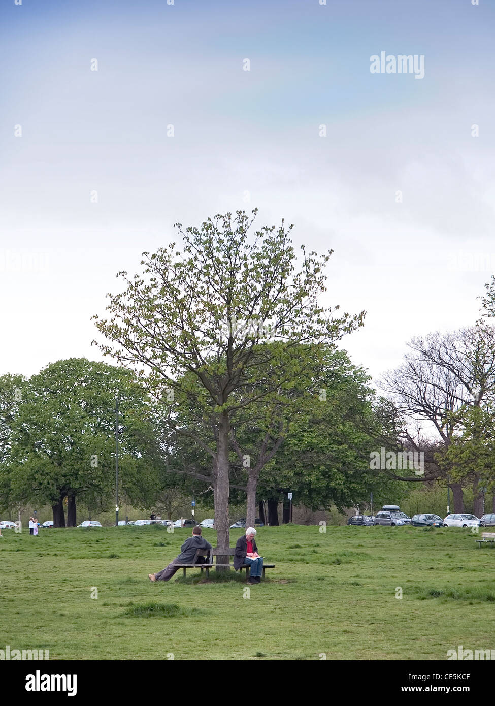 two lonely people sitting by a tree on Wimbledon Common Stock Photo - Alamy