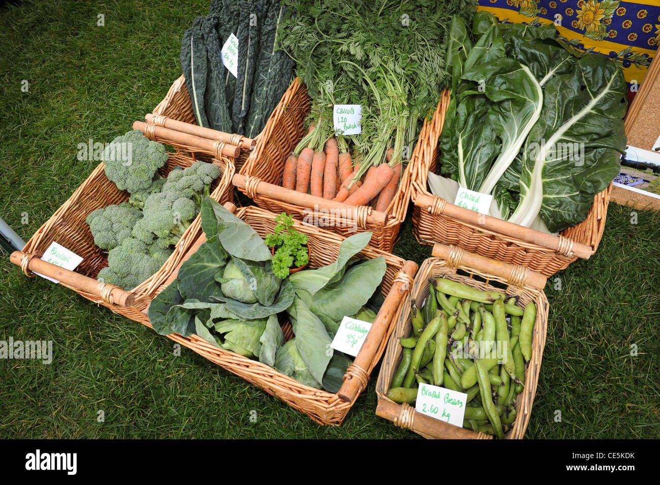 Selection of vegetables including carrots, beans, broccoli, cabbage ...