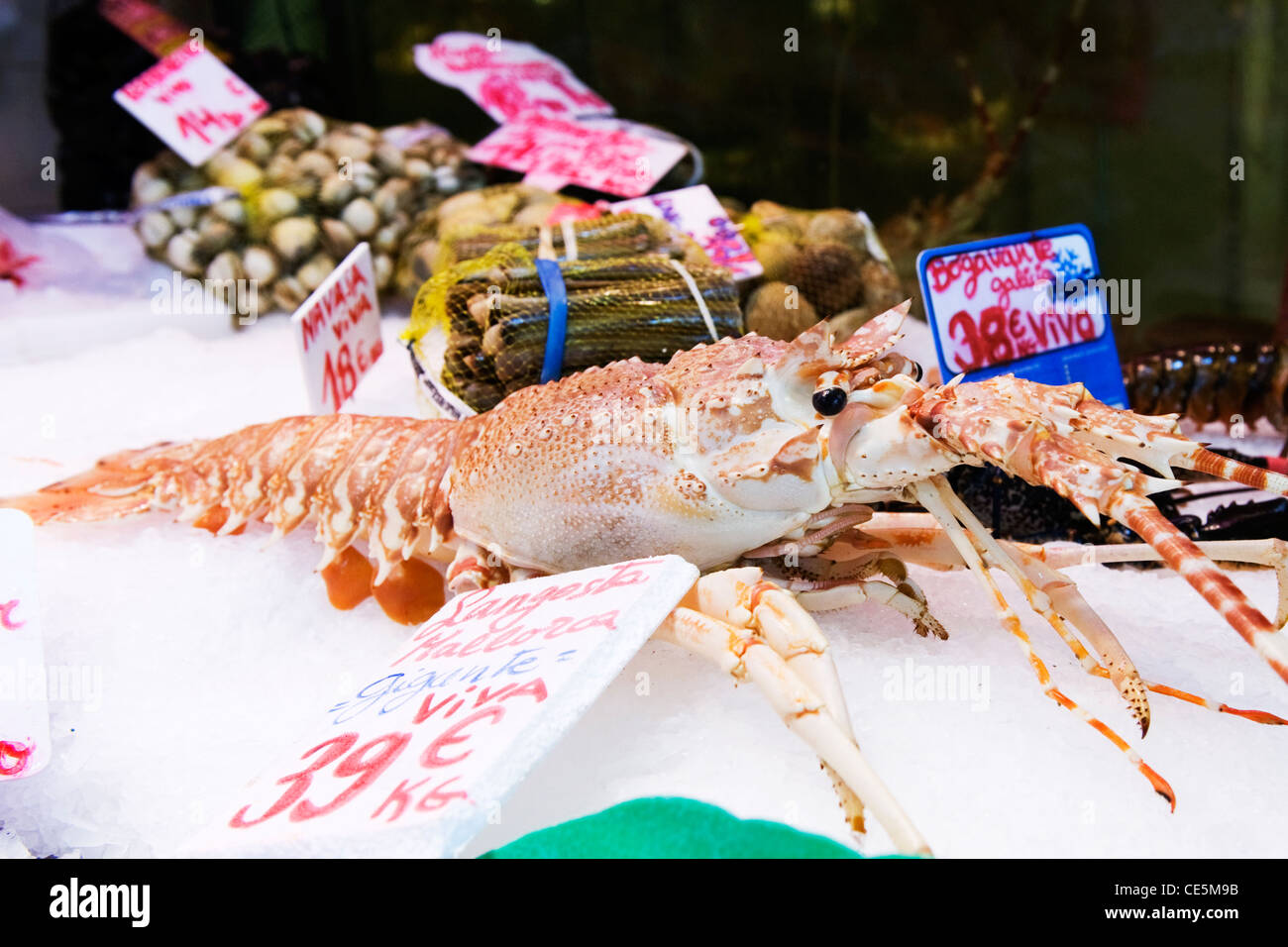 Spain Espana Balearics Balearic Islands Mallorca Majorca Palma Mercat ...