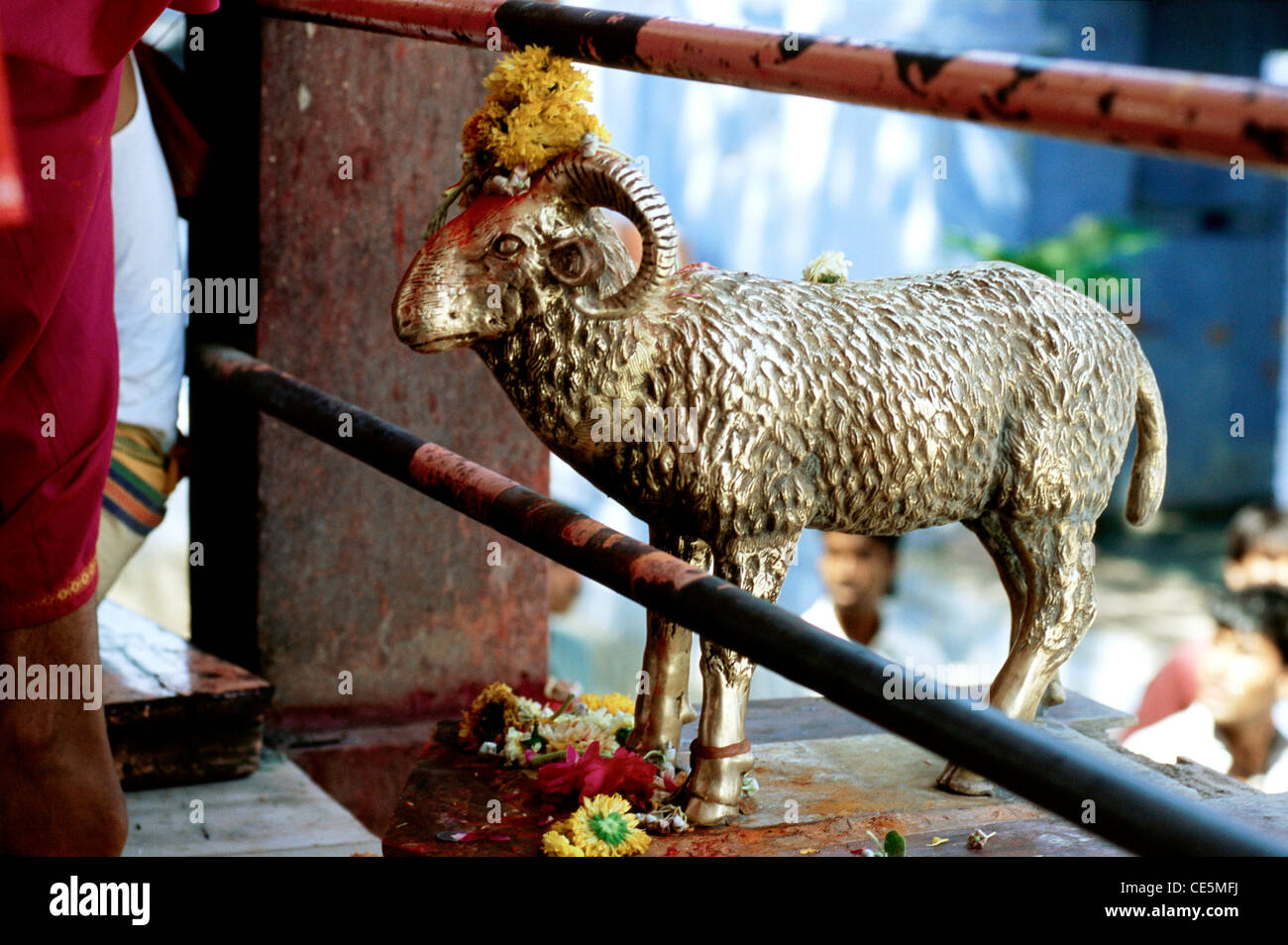 Sheep statue in Mangal Nath temple ; Ujjain ; Madhya Pradesh ; India ...