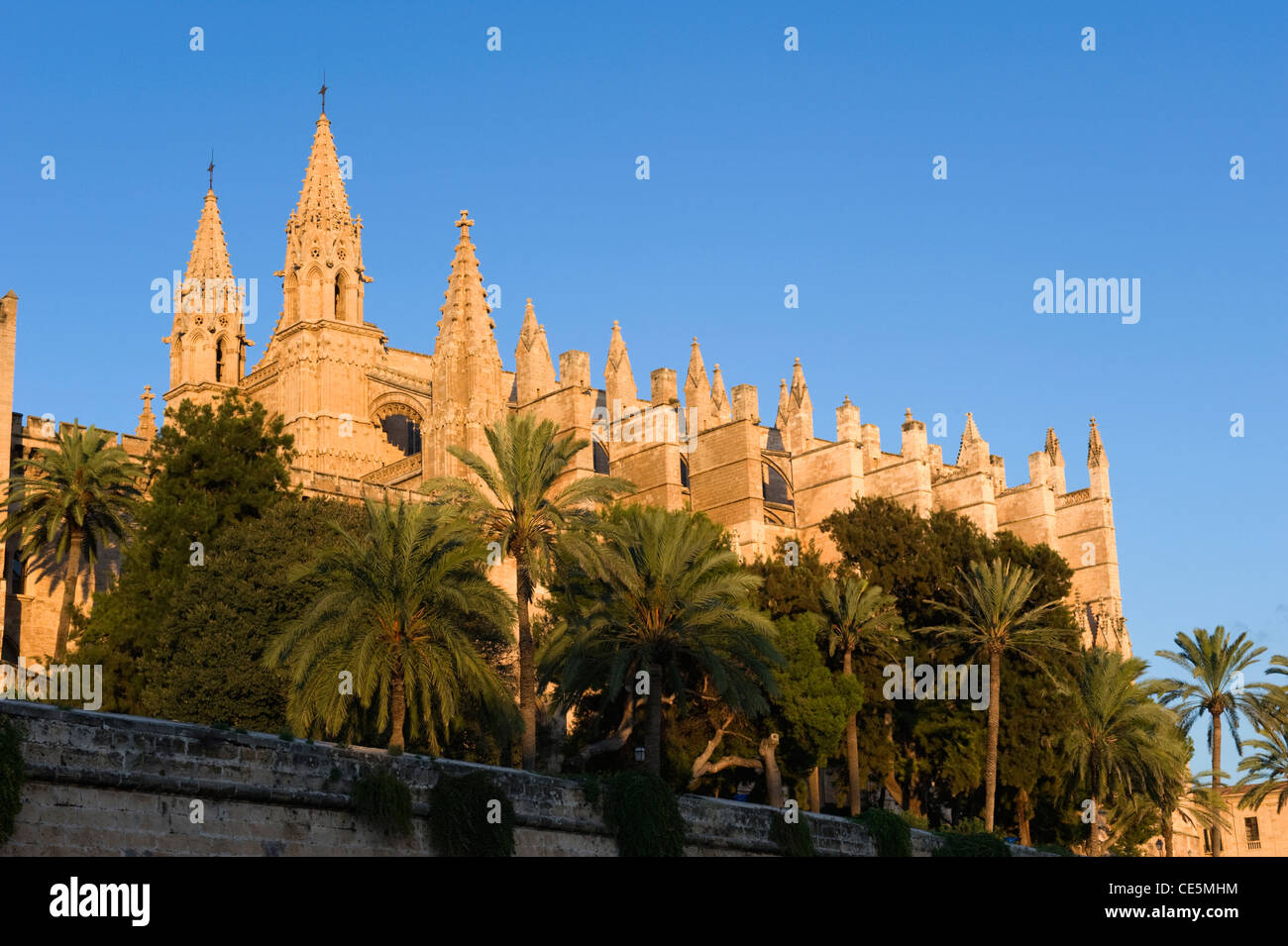 From catedral mallorca hi-res stock photography and images - Alamy