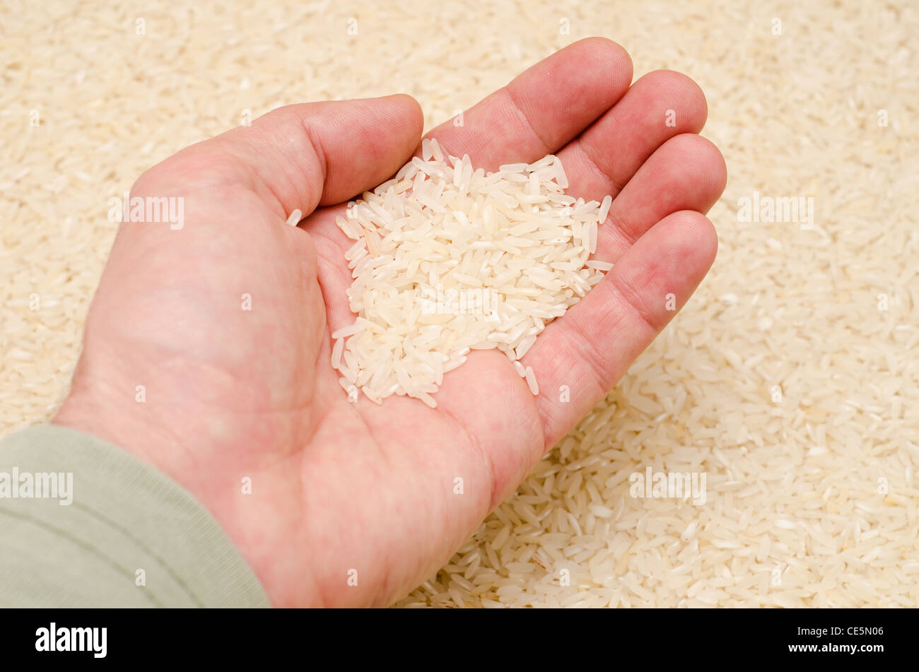 rice in hand Stock Photo - Alamy