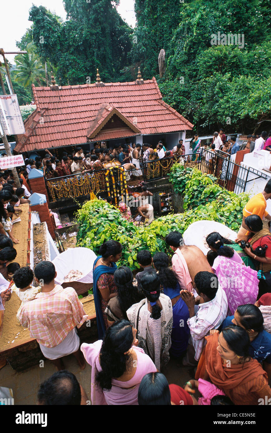 Panachikkadu Dakshina Mookambika Temple ; Dakshana Mookambika Temple ...