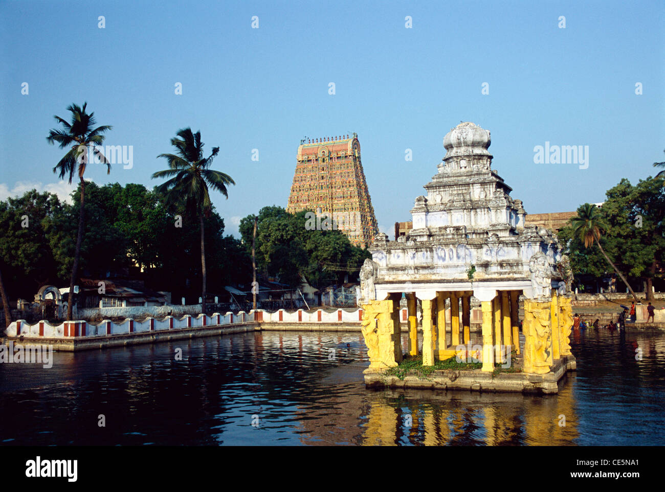 Kasi Viswanathar temple with pond in Tenkasi ; Tamil Nadu ; India Stock ...