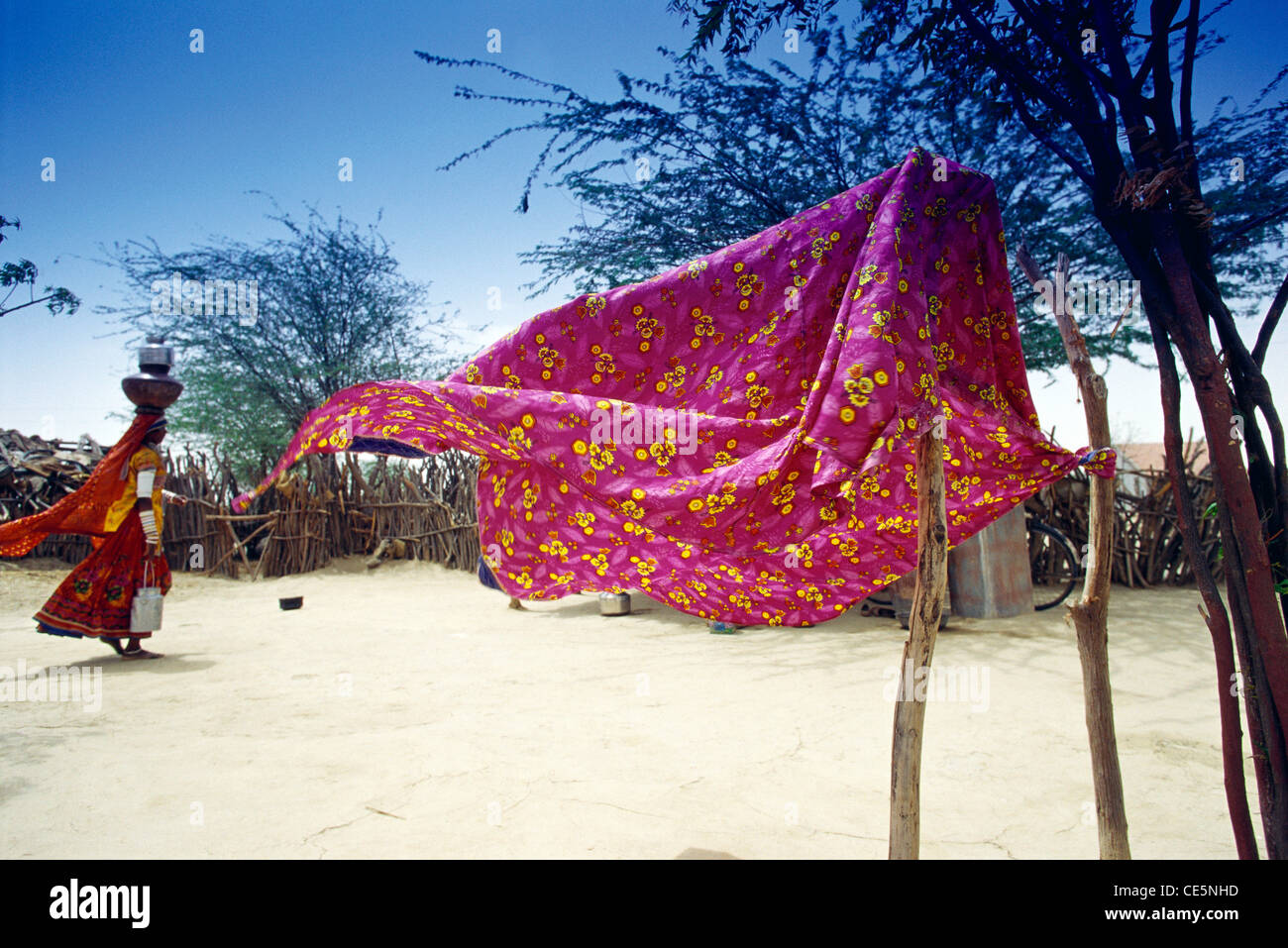Red saree drying in wind hi-res stock photography and images - Alamy
