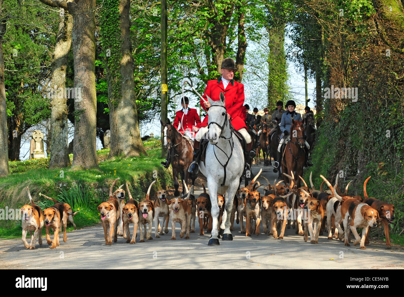 Fox hunters hi-res stock photography and images - Alamy