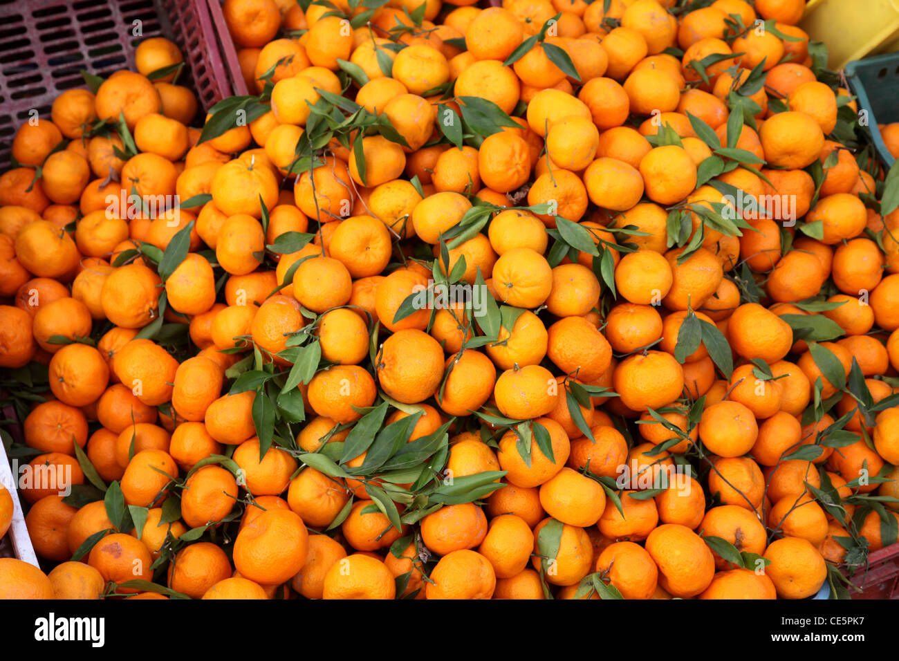 Africa orange citrus hi-res stock photography and images - Alamy