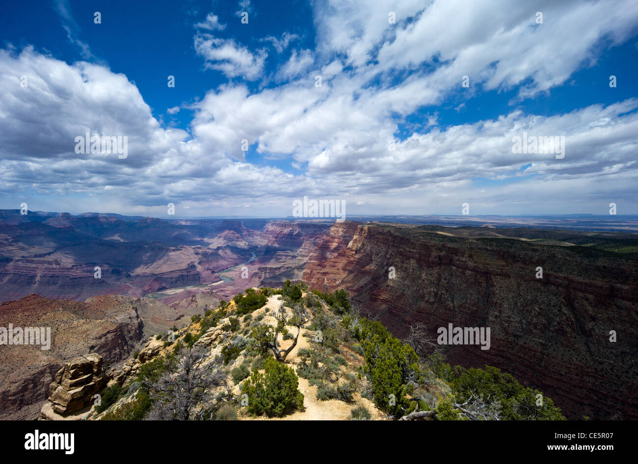 U.S.A., Arizona, the Grand Canyon South Rim Stock Photo - Alamy