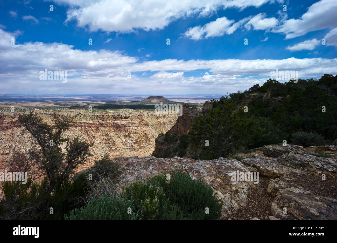 U.S.A., Arizona, the Grand Canyon South Rim Stock Photo - Alamy