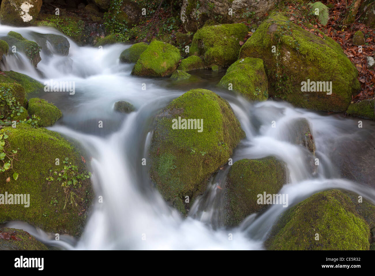 Ason River Stock Photos & Ason River Stock Images - Alamy