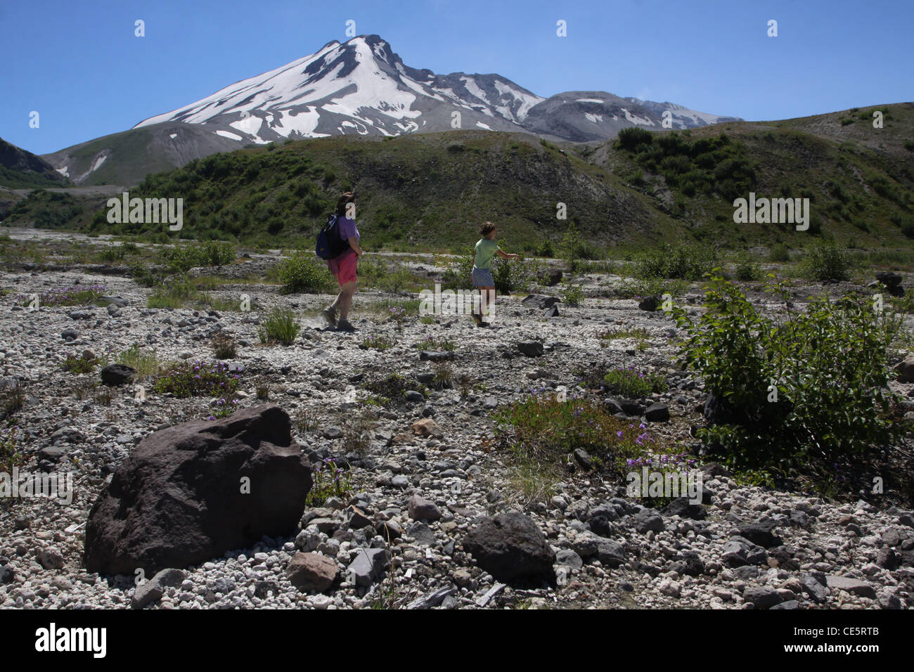 hiker pumice plain Mount St Helens Volcano National monument Stock ...