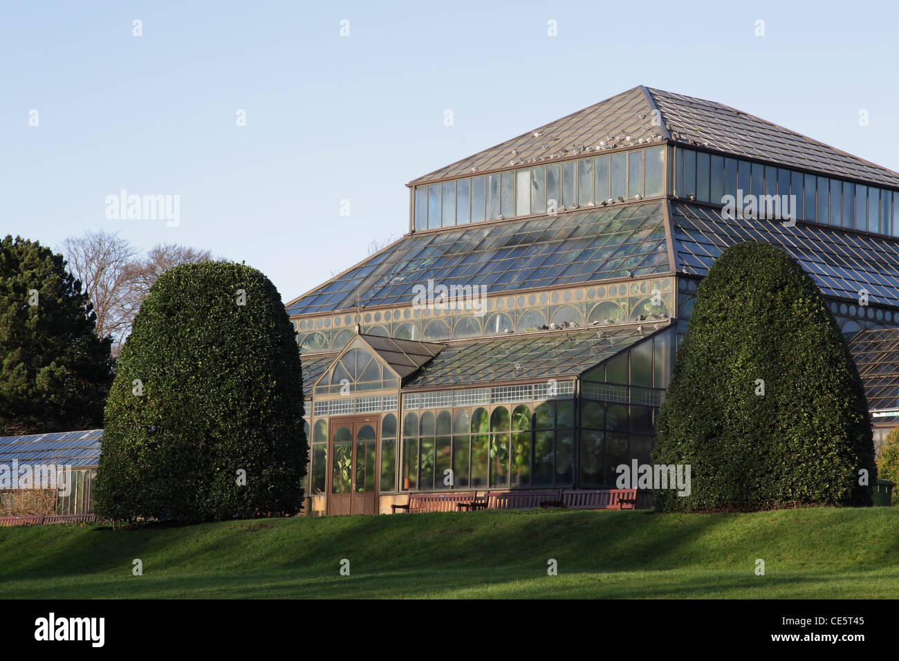 Glasgow botanic garden greenhouse hi-res stock photography and images ...
